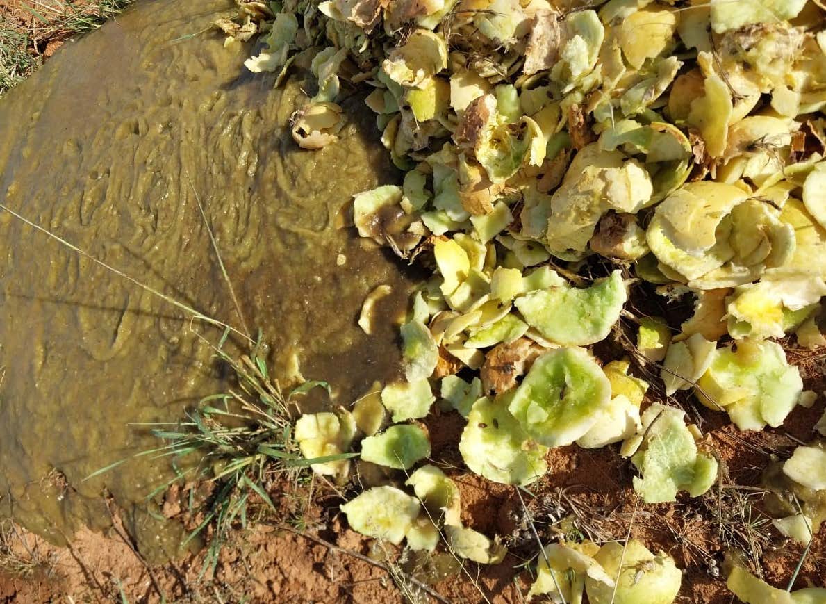 Agro Processing – Moritelo